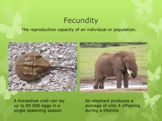 Population dynamics presentation | PPTX