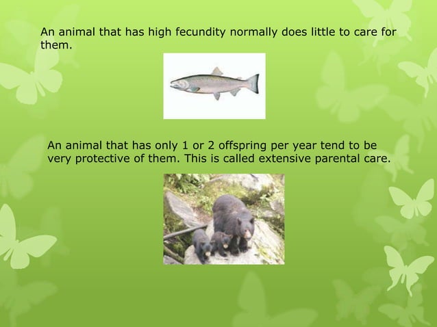 Population dynamics presentation | PPTX