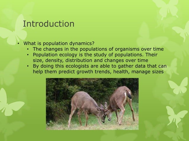 Population dynamics presentation | PPTX