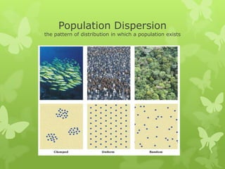 Population dynamics presentation | PPTX