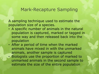 Population dynamics presentation | PPTX