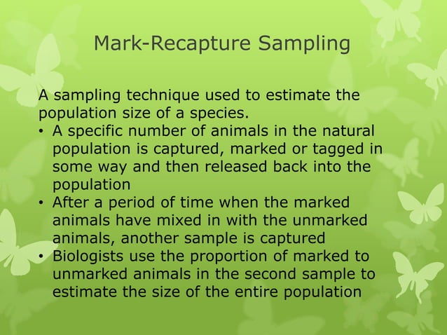 Population dynamics presentation | PPTX