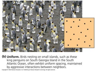Population ecology | PPTX