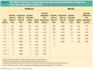 Population ecology | PPTX