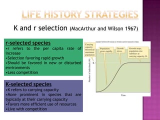 Population ecology | PPTX