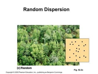 Population ecology | PPT