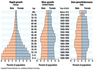Grade 10 - Population Ecology | PPT