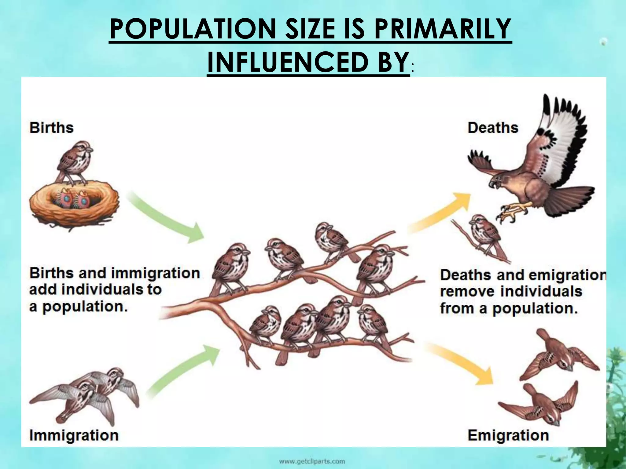 Population ecology grade 10 | PPTX
