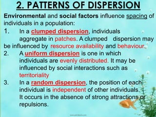 Population ecology grade 10 | PPTX