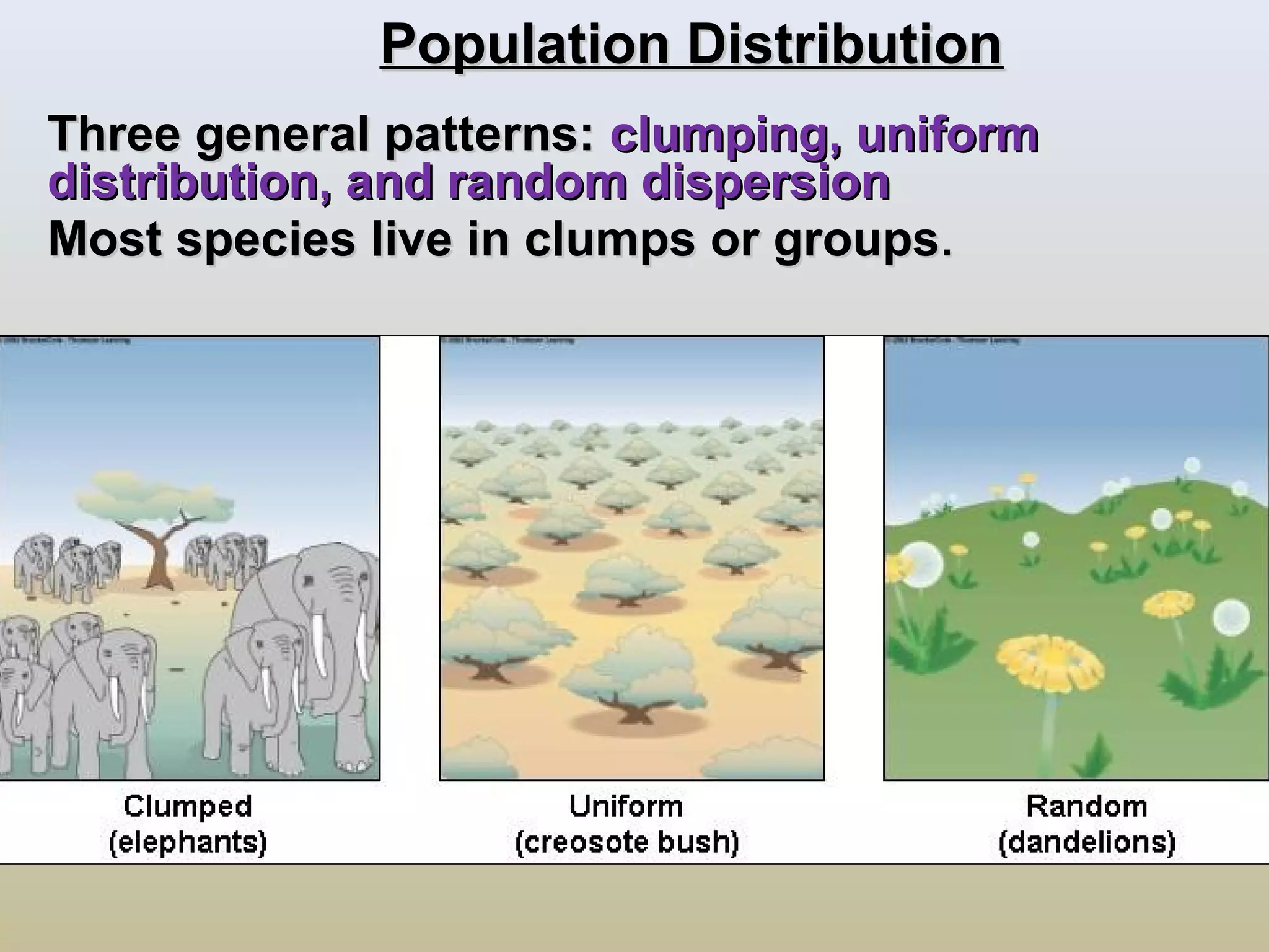 Population ecology | PPT