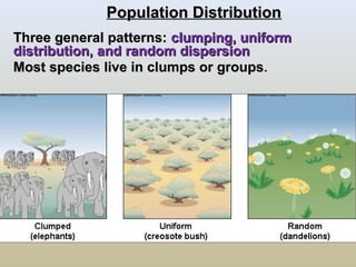 Population ecology | PPT