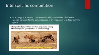 Population ecology | PPT