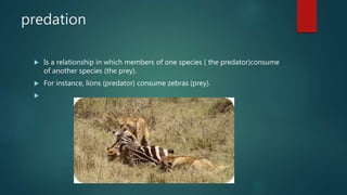 Population ecology | PPT