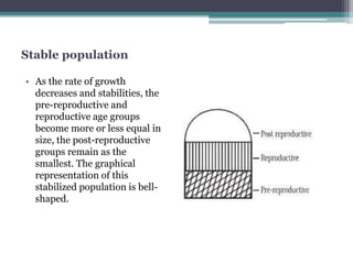 Population ecology | PPTX