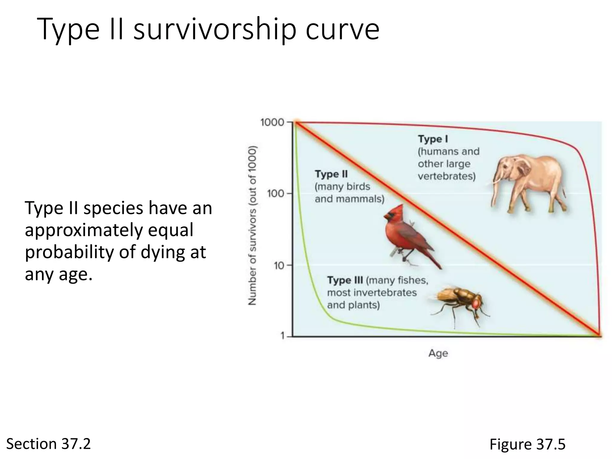 Population ecology | PPTX