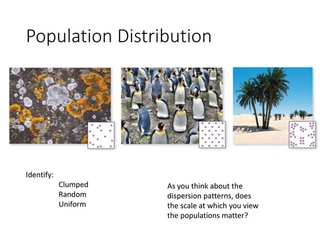 Population ecology | PPT