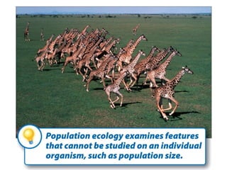 Population ecology | PPTX