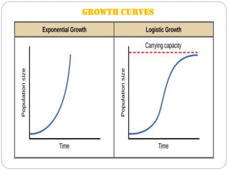 Exponential Growth Ecology