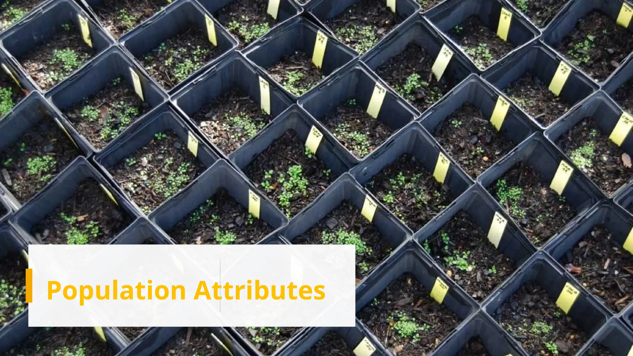 Population Ecology characteristics of .pptx | Free Download