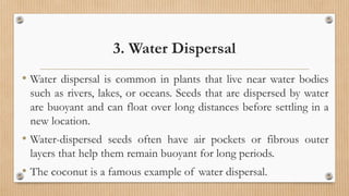 Population Ecology (Seed Bank and Seed Dispersal) | PPT