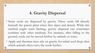 Population Ecology (Seed Bank and Seed Dispersal) | PPT