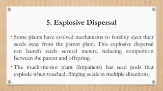 Population Ecology (Seed Bank and Seed Dispersal) | PPT
