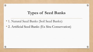 Population Ecology (Seed Bank and Seed Dispersal) | PPT
