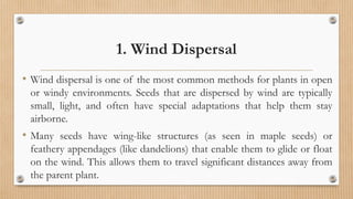 Population Ecology (Seed Bank and Seed Dispersal) | PPT