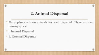 Population Ecology (Seed Bank and Seed Dispersal) | PPTX
