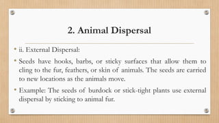 Population Ecology (Seed Bank and Seed Dispersal) | PPT