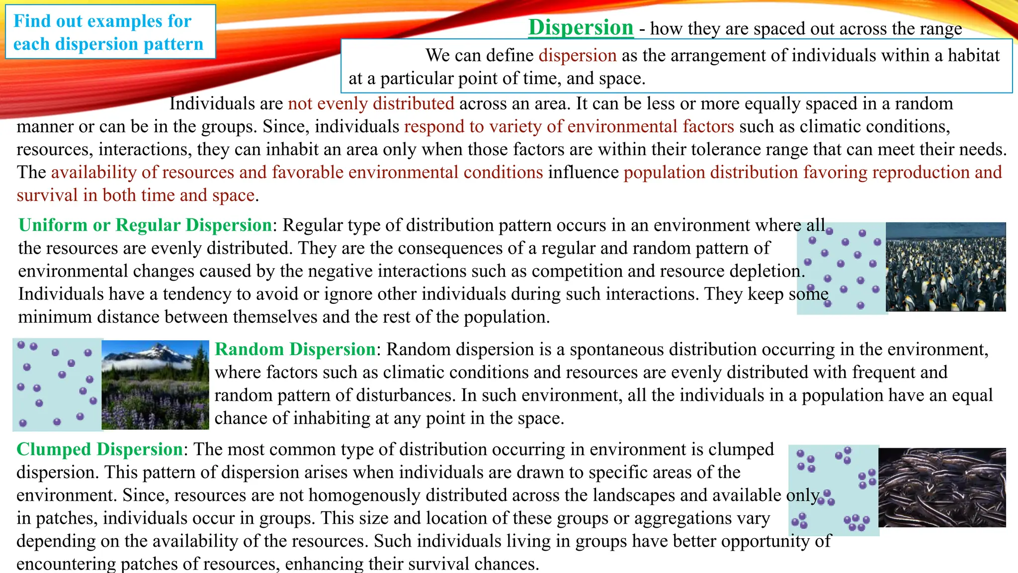 Population Ecology and major characteristics of population | PPT