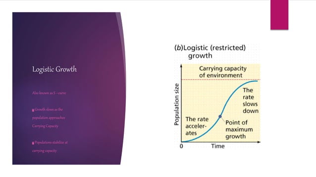 Population ecology grade 11 (life-sciences) | PPTX
