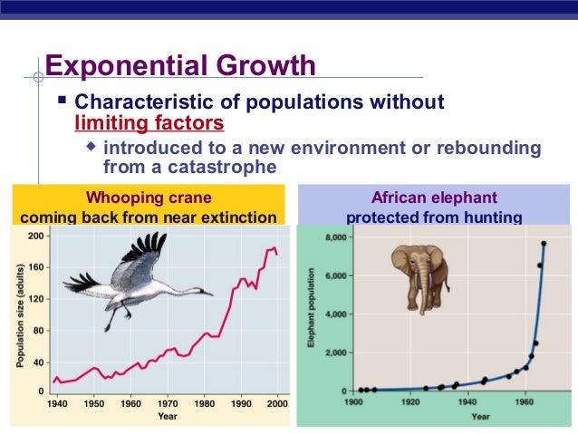 Animals Population Examples