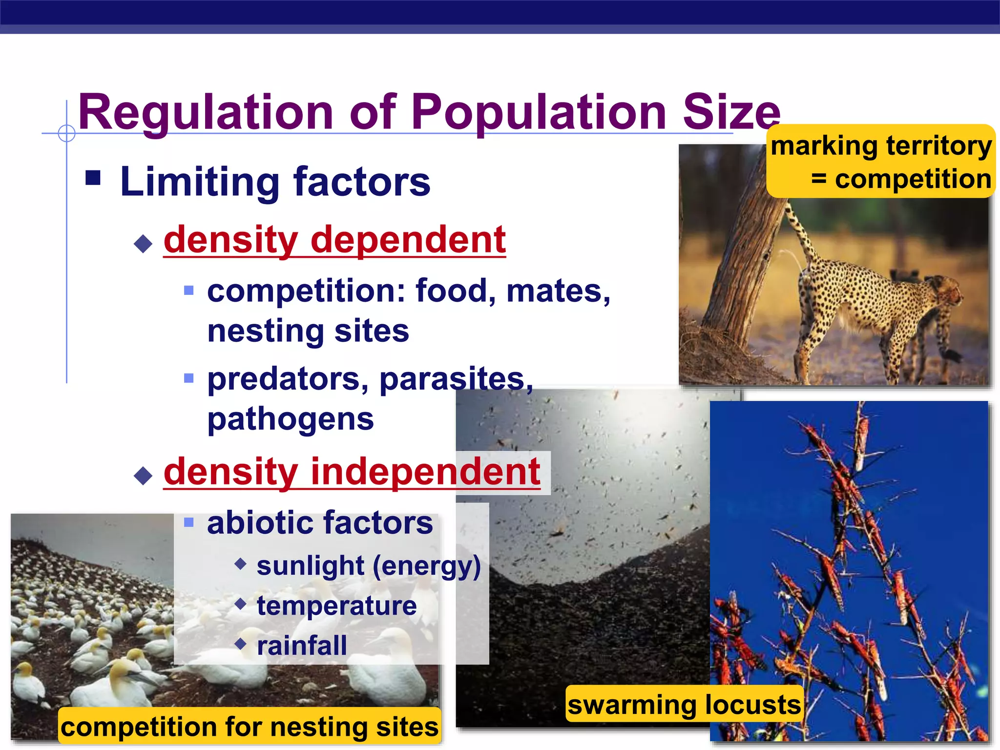 Population ecology 2016 ppt | PPT