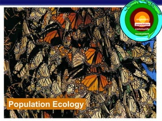 Population ecology 2016 ppt | PPT