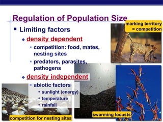 Population ecology 2016 ppt | PPT