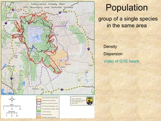 Population ecology ch 53 | PPT