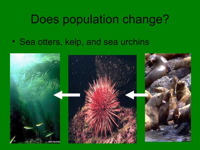 Population Ecology Intro | PPT