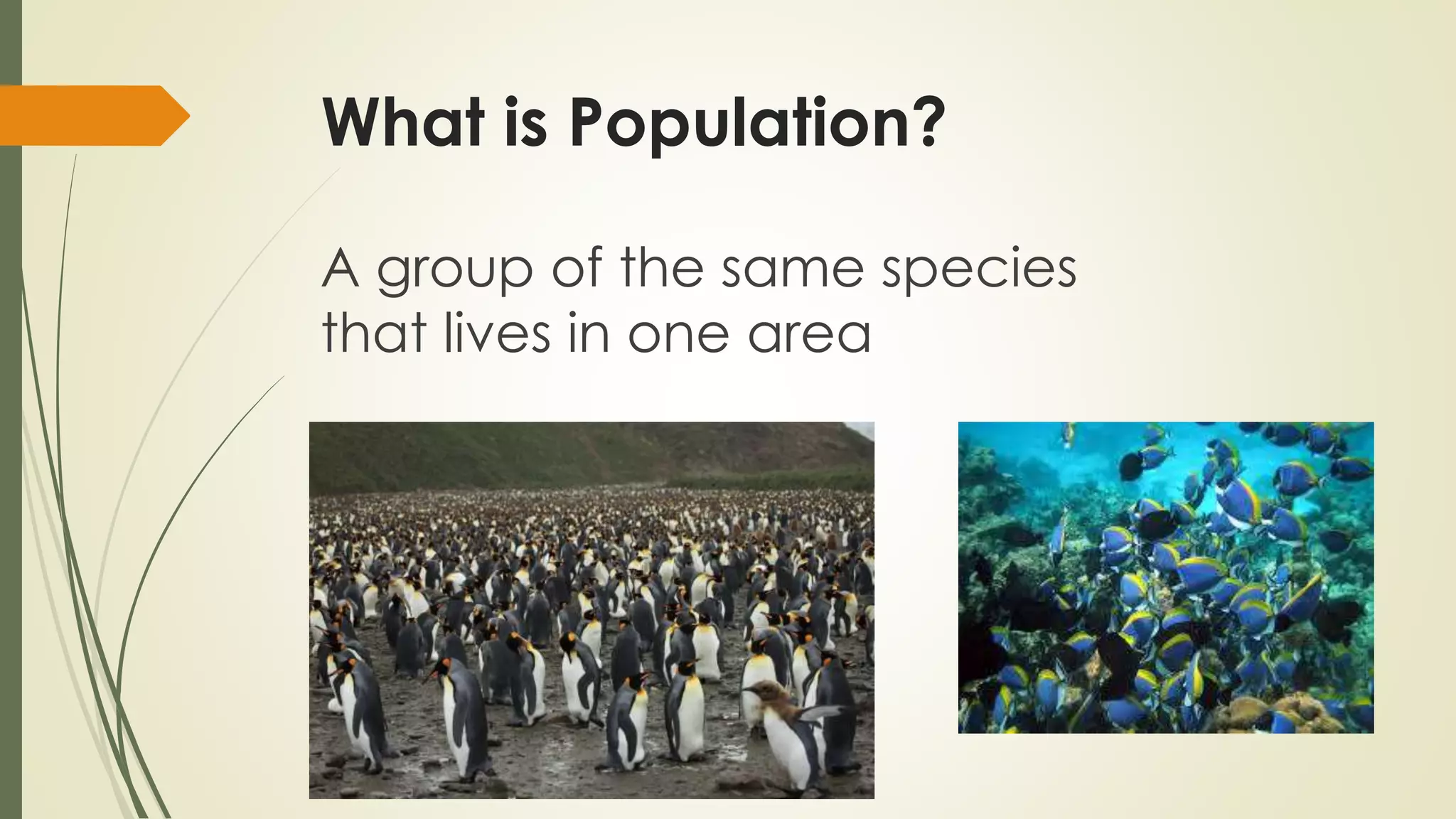 Population Ecology Notes | PPTX