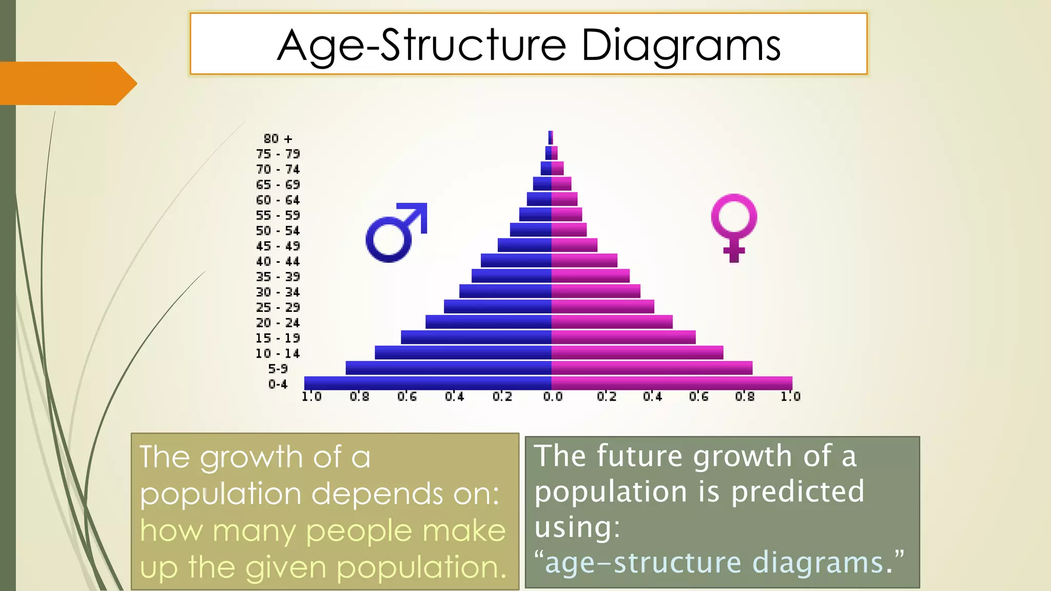 Population Ecology Notes | PPTX