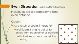 Population Ecology Notes | PPTX