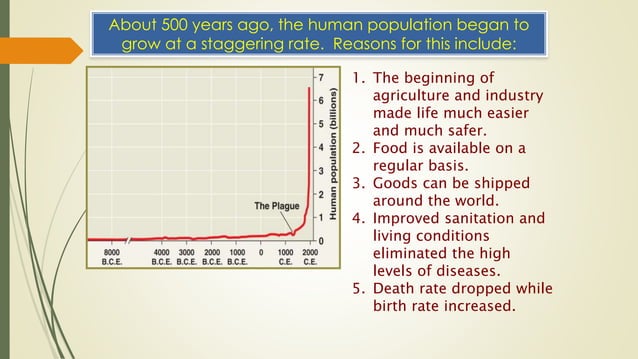Population Ecology Notes | PPTX