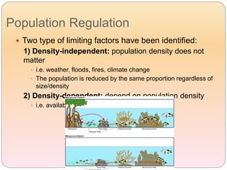 Population ecology part 1 | PPTX