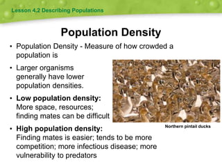 Population Ecology Presentation.pptxggFAX | PPTX