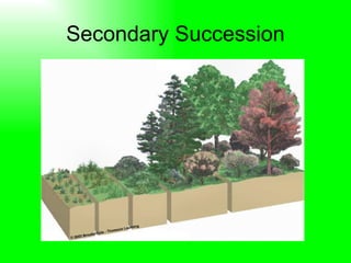 Population Ecology, Succession | PPT