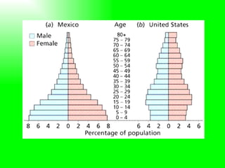 Population Ecology, Succession | PPT
