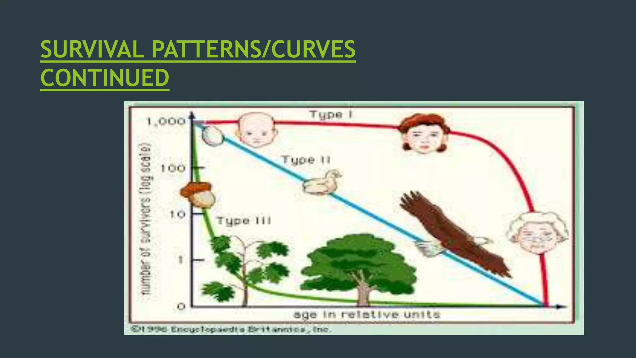 Population Ecology Grade 11 Part 1 | PPTX