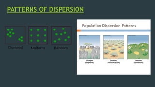 Population Ecology Grade 11 Part 1 | PPTX