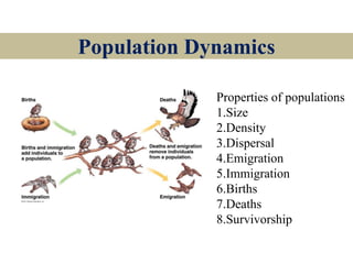 Population ecology | PPT