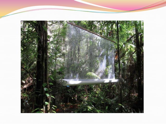 Population Estimation Methods of Insects by M.Salman | PPTX ...